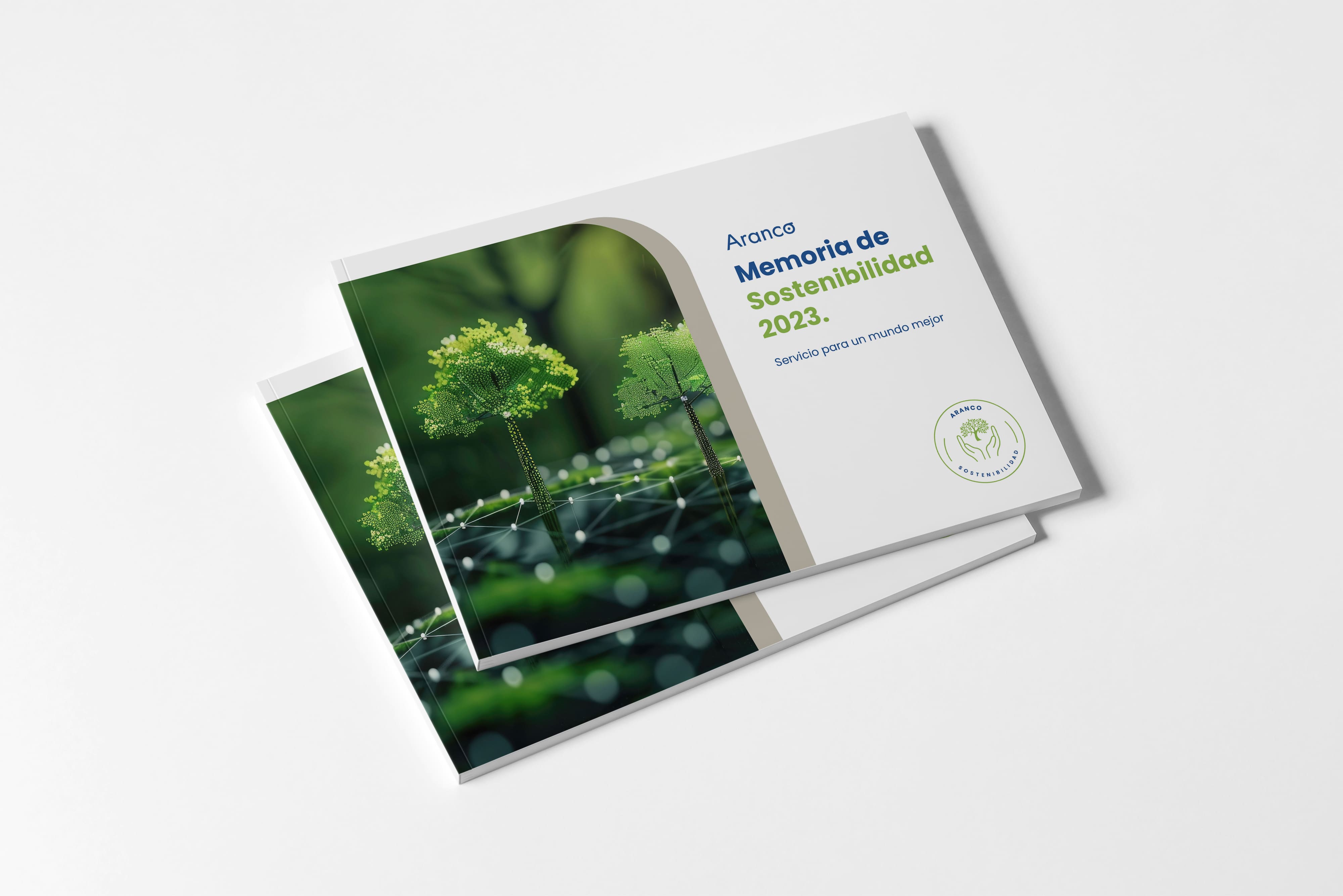 Aranco - Líder en Servicios de Embalaje Industrial